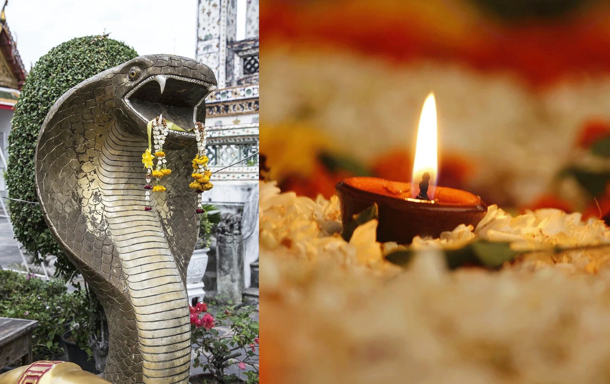 Do not do this on Nagar Panchami: the Naga deity can rob you of ...