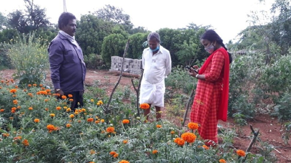 This village in Davanagere district, which has attracted the attention ...