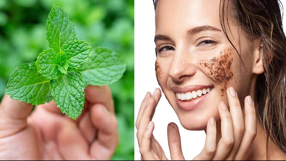clean pimple on face with mint leaves how to make the face fair | ಮುಖದ ...
