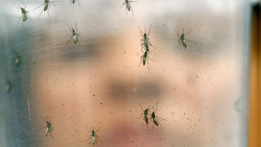 Alert after Zika cases surfaced, Karnataka government also issued ...