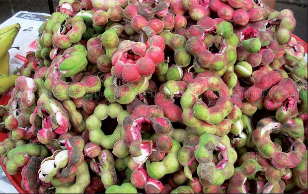 madras thorn inc benefits for health how look here | ನಿಮ್ಮ ಆರೋಗ್ಯಕ್ಕೆ ...