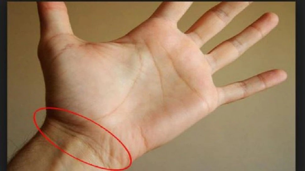 Palmistry: person who have 4 manibandh rekha in hand is lucky for name ...