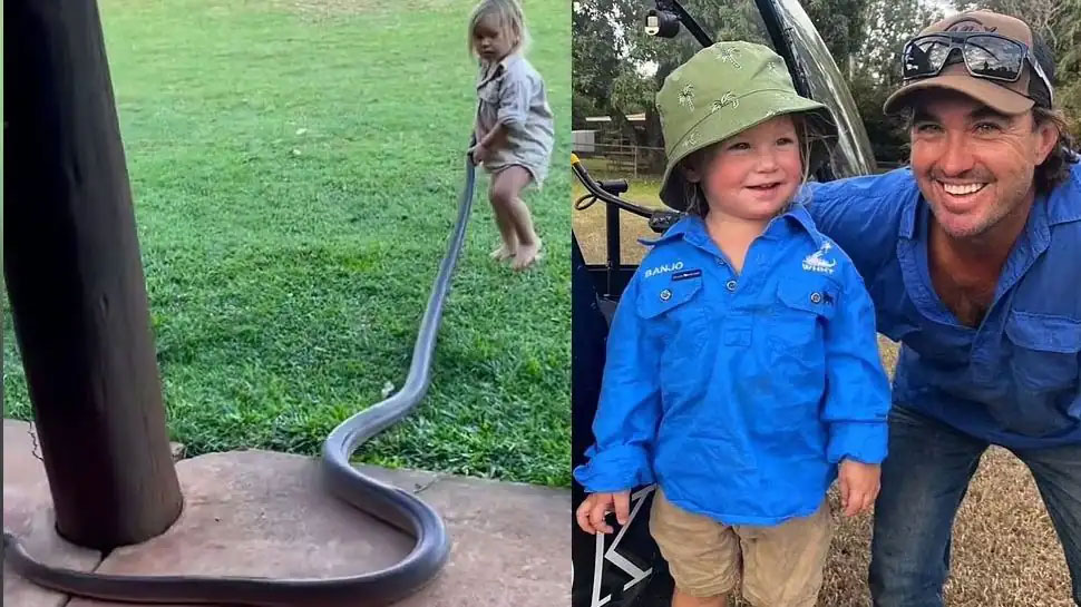 2 year old child handling poisonous snake, video goes viral |Viral ...