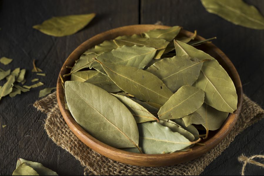 Bay Leaf Benefits For Diabetes Patients High Blood Sugar Level