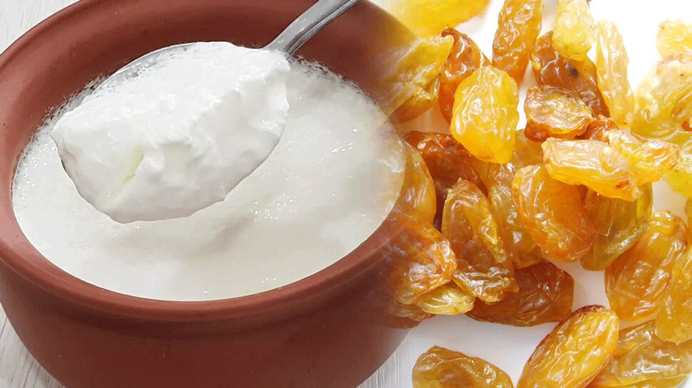 Curd and Raisins Benefits; Consuming raisins with curd benefits you in ...