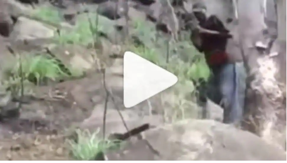 Snake attacks man in forest, See what happens next in scary viral video ...