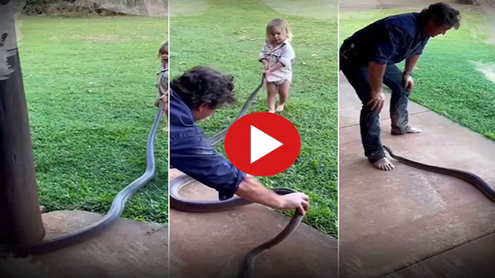 Google trending video; The giant snake in front of little girl, OMG ...