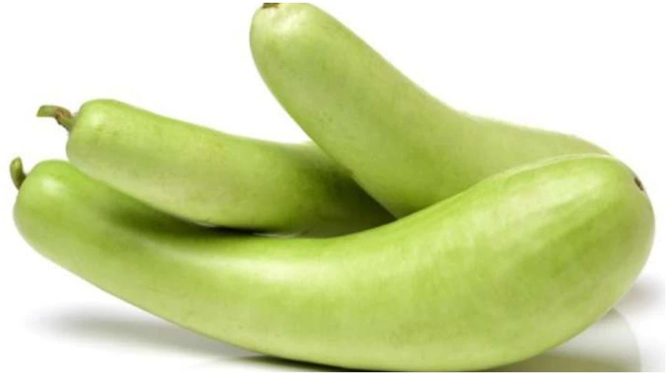 weight-loss-tips-lose-weight-by-eating-gourd-vegetable | Weight Loss ...