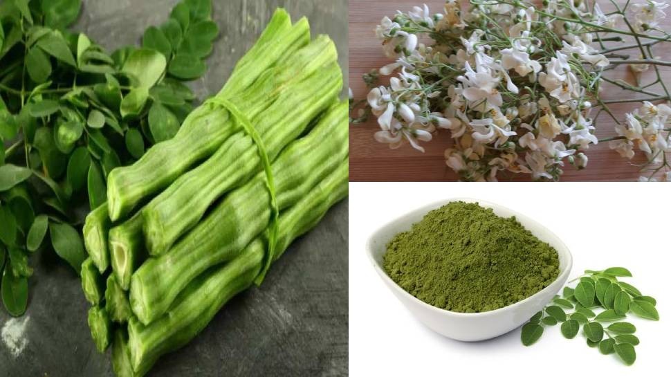 Ayurveda Tips Drumstick Benefits Plant All Parts Beneficial Moringa Useful For Hair Fall Anemia ayurveda-tips-drumstick-benefits-plant-all-parts-beneficial-moringa-useful-for-hair-fall-anemia