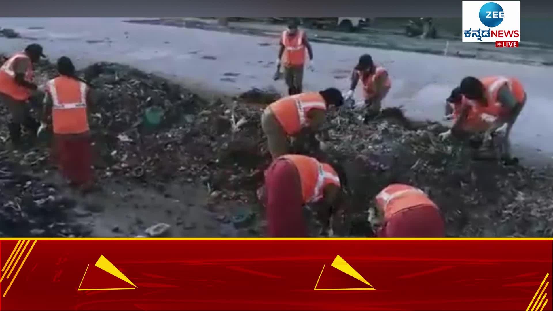 BBMP emphasis on scientific waste disposal: Made a Attention-grabbing ...