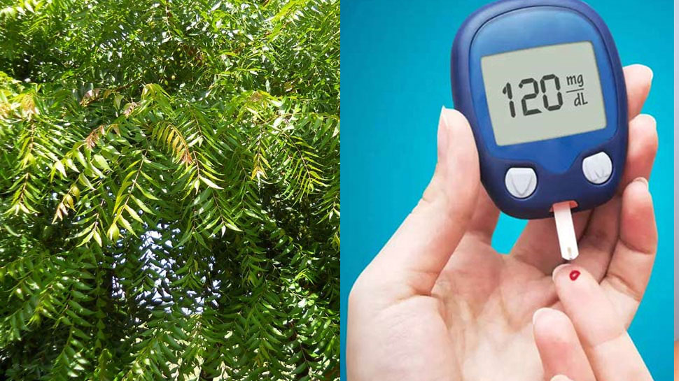 Natural remedies to control diabetes | ನೈಸರ್ಗಿಕವಾಗಿ ಶುಗರ್ ಲೆವೆಲ್ ಕಡಿಮೆ ...