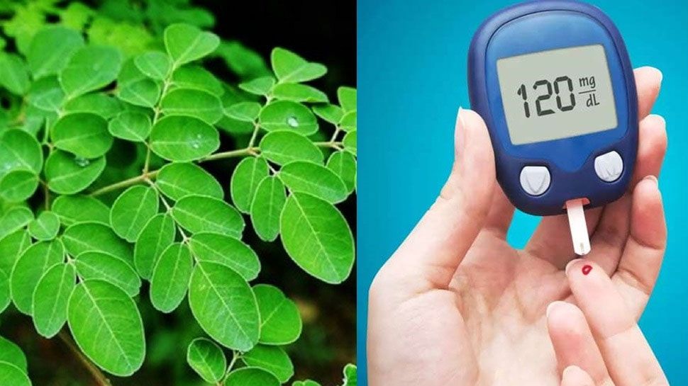 use these four leaves to control blood sugar|ಈ ನಾಲ್ಕು ಎಲೆಗಳನ್ನು ...