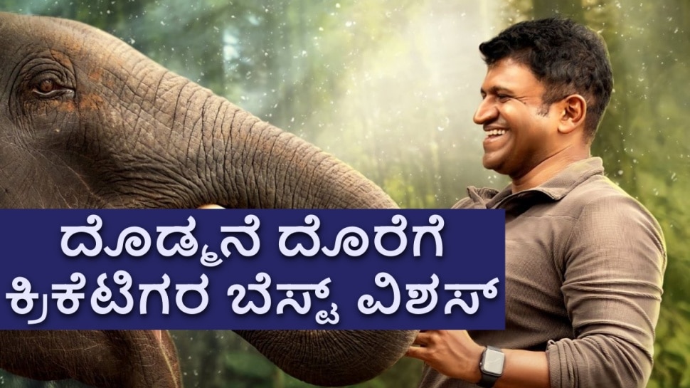 Indian Cricketers Best Wishes To Gandhada Gudi ದೊಡ್ಮನೆ ದೊರೆಗೆ