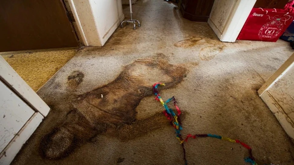 Skeleton found in Salman house: Video of confession of murder goes ...