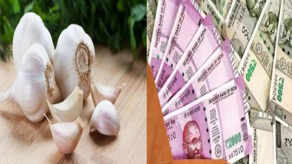 garlic remedies that remove financial crisis from your life Garlic ...