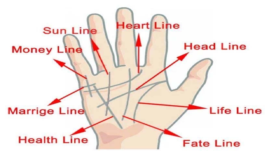 palmistry about rich this line of hand will tell whether you are likely ...