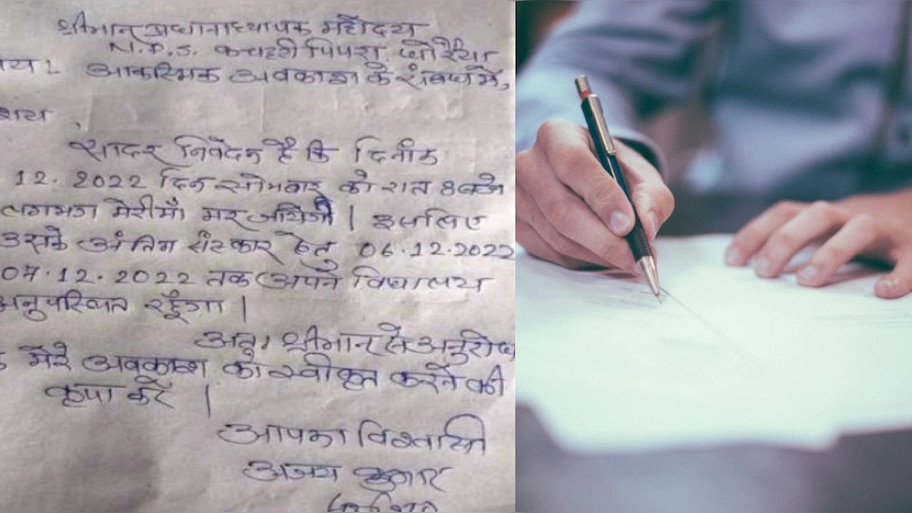 Viral News: Bihar School Teachers Shocking leave letters Viral on ...