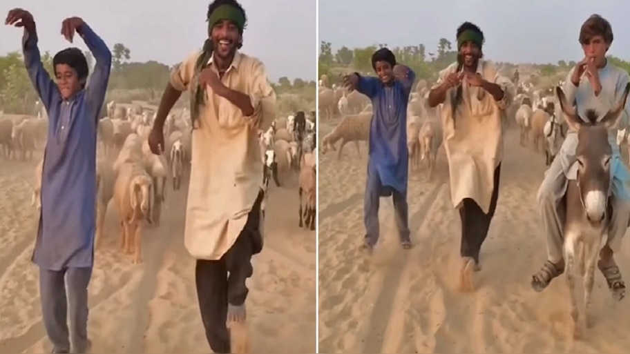 Three Men dance with Sheep: Viral Video goes viral on Social Media ...