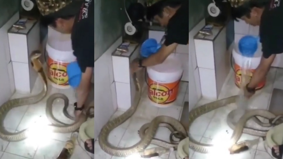 Snake taking bath Video goes Viral | ಹಾವು ಸ್ನಾನ ಮಾಡುತ್ತಿರುವ ವಿಡಿಯೋ ...