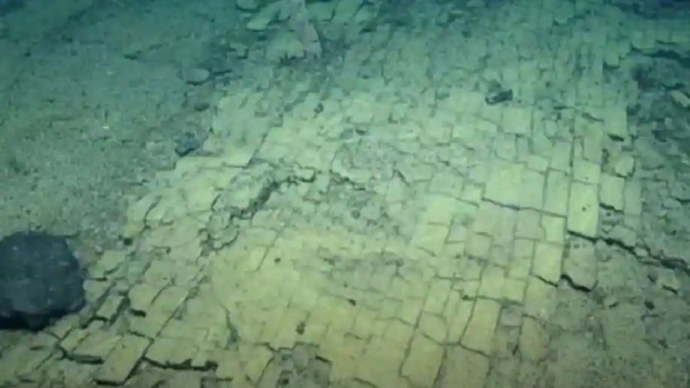 Viral Video: The yellow brick road in the 3000 meter depth of the sea ...