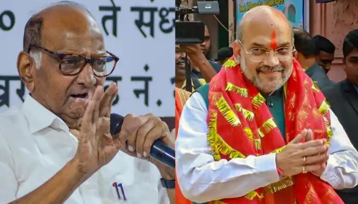 Sharad Pawar's dig at Amit Shah over Ram mandir date | "ಅಮಿತ್ ಶಾ ಪೂಜಾರಿ ...