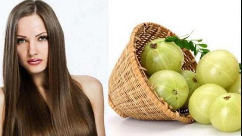 Amla For Long And Thick Hair use like this | ಕೂದಲಿನ ಈ ಸಮಸ್ಯೆಗಳಿಗೆ ...