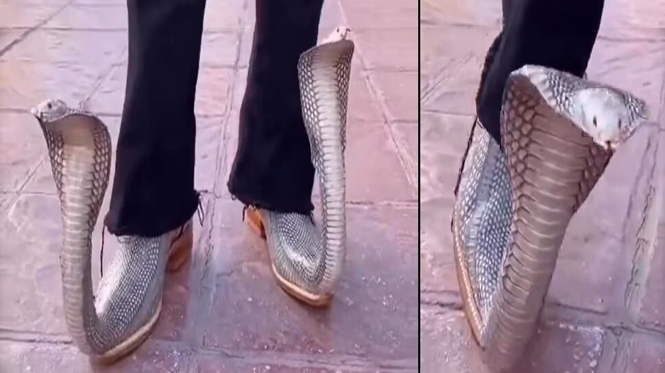 shoes like snake video goes viral |Viral Video : ಹಾವನ್ನೇ ಶೂವಾಗಿಸಿದ ಭೂಪ ...