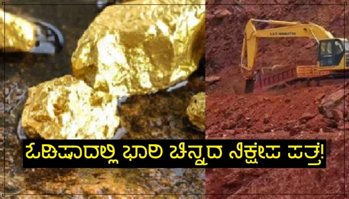 huge gold mines found in odisha says state mining minister prafull ...