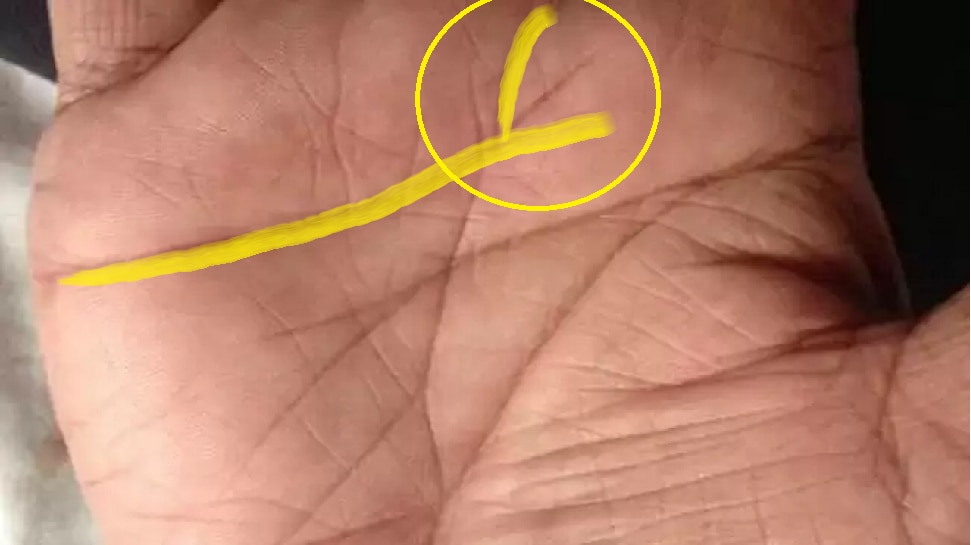 Kannada Palmistry vishnu rekha in hand very lucky people have this line ...