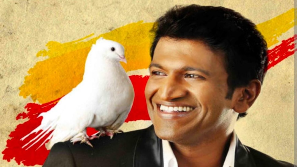 birds were following puneeth in kanteerava studio | ಅಪ್ಪ ಅಮ್ಮನ ಸಮಾಧಿ ...