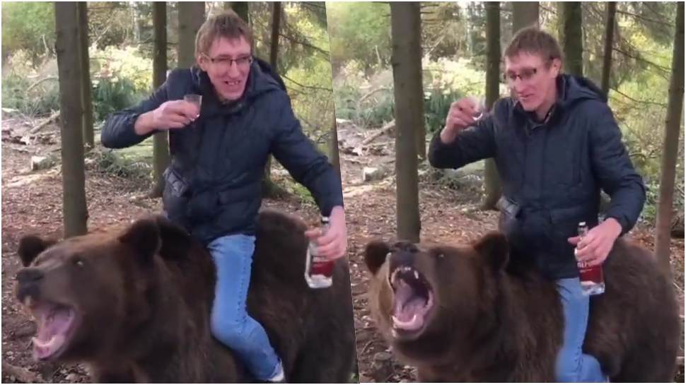drunken sat on bear video goes viral | ಕರಡಿಯ ಬೆನ್ನು ಹತ್ತಿ ಕುಳಿತ ಕುಡುಕ..! ಏನ್‌ ಗುಂಡಿಗೆ ಗುರು ನಿಂದು ...