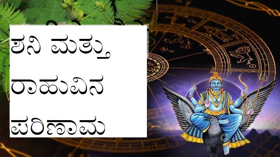 Shani Dev Plant: Shani-Rahu Tying this one thing in Shami's plant will ...