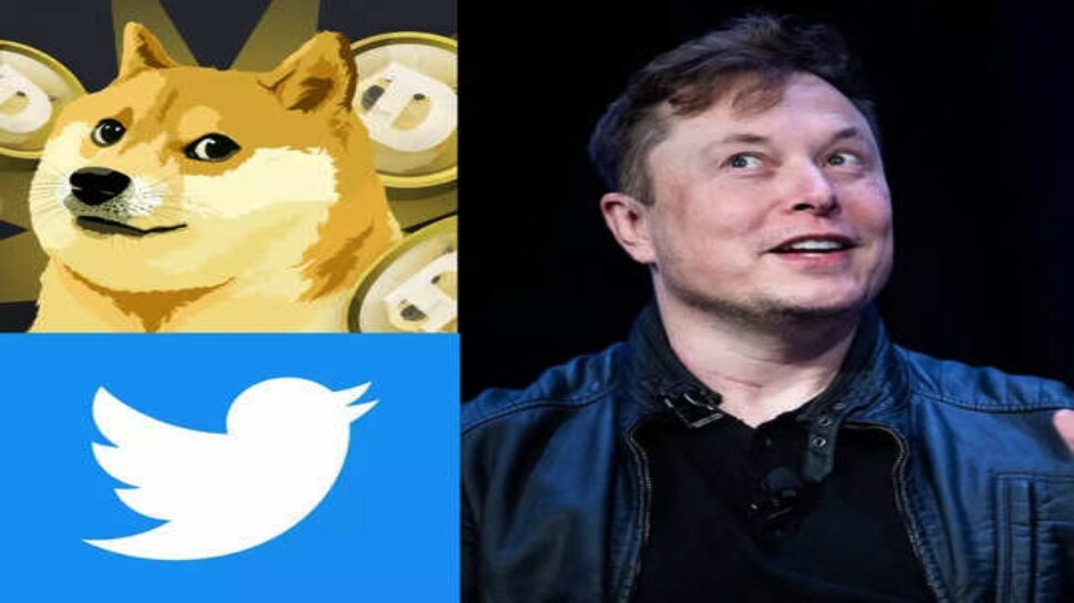 elon-musk-has-changed-the-twitter-logo-a-dog-instead-of-a-blue-bird