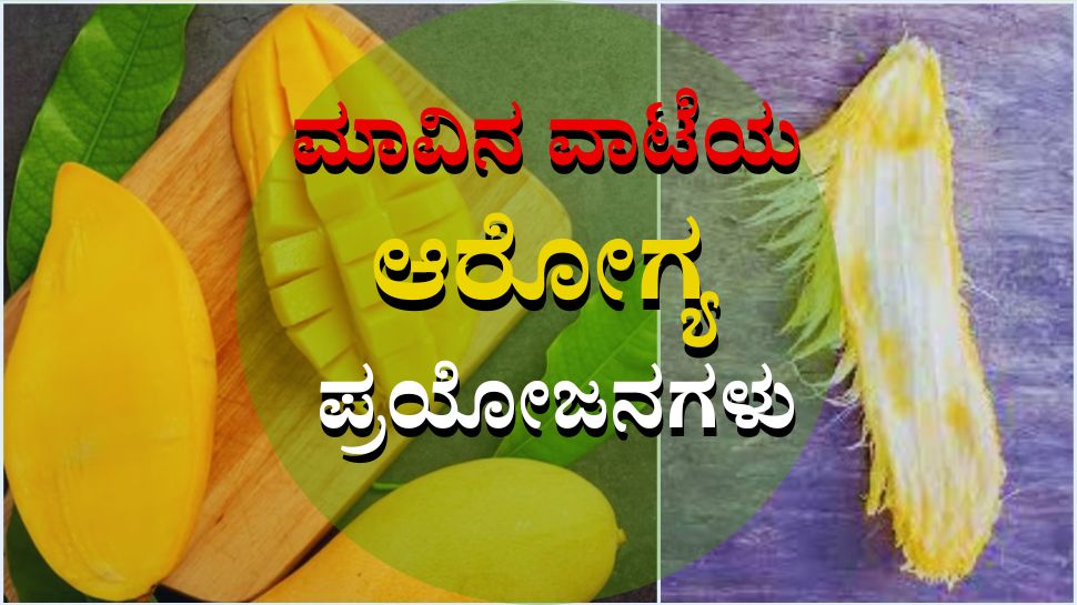 Mango Kernels, Seed Or Gutli is very beneficial for good health | ಉತ್ತಮ ...