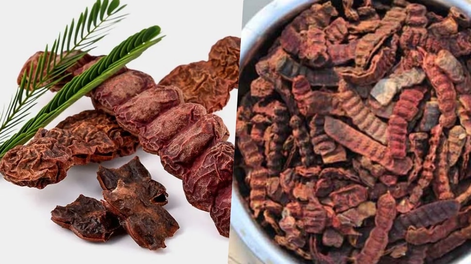Use Shikakai Instead Of Shampoo For Hair Problems| Shikakai Powder ...