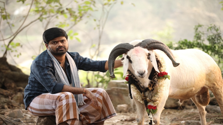 Kurubani of 7 Star Sultan who acted in Tagaru Palya has been cancelled ...