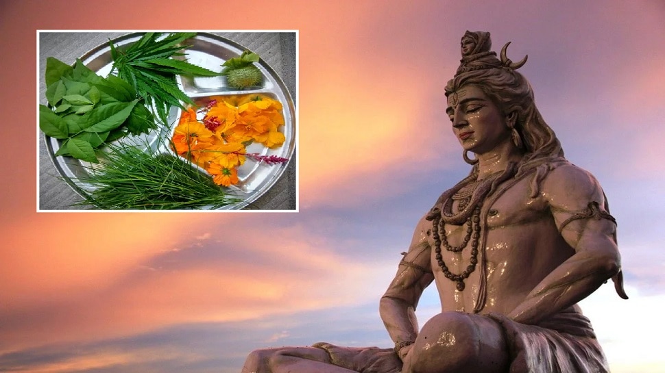 God Shiva Favourite plant: worship in the month of Shravan all the ...