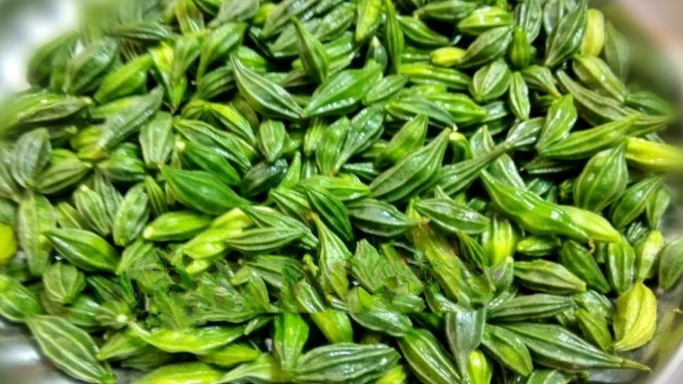 karchikai vegetable health benefits | ಈ ಕಾಯಿಗಳ ಹೆಸರೇನು ಗೊತ್ತಾ..? ಸಿಕ್ರೆ ...