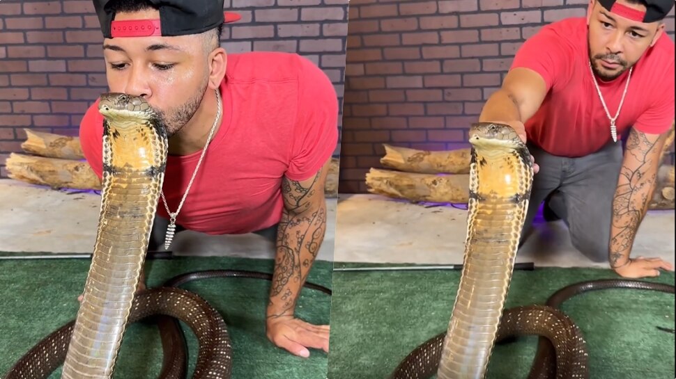 The Video Of The young Man Who Survived By Kissing The Kalinga Snake ...