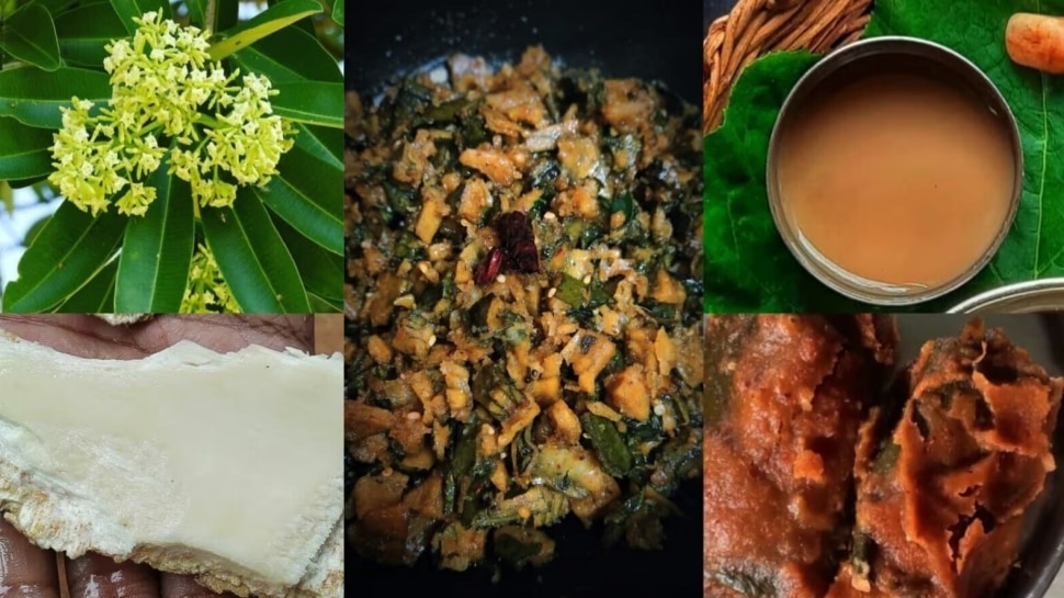 Significance Of Drinking Kashaya On Tulunada Ati Amavasya |Aati ...