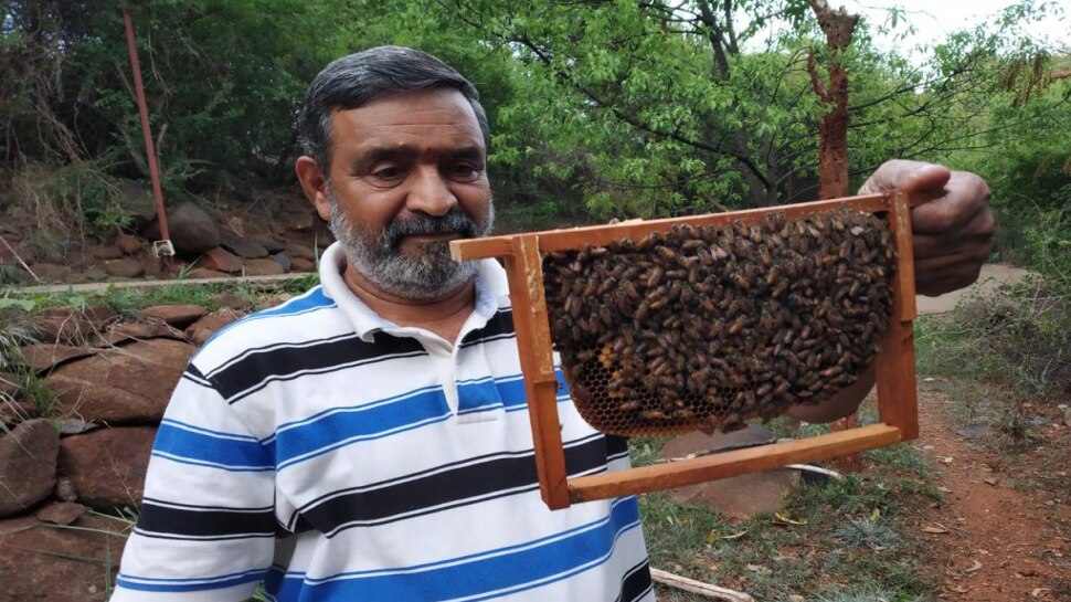 Bee-All & End-All Bee Pollination On The Planet | ಬೀ-ಆಲ್ & ಎಂಡ್-ಆಲ್ ...