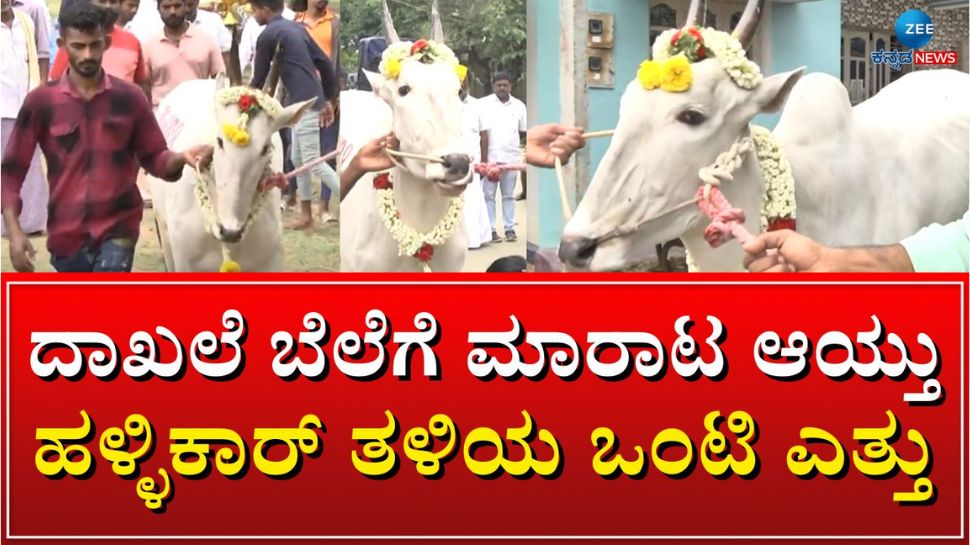 A single bull of the Hallikar breed was sold at a record price | ದಾಖಲೆ ...