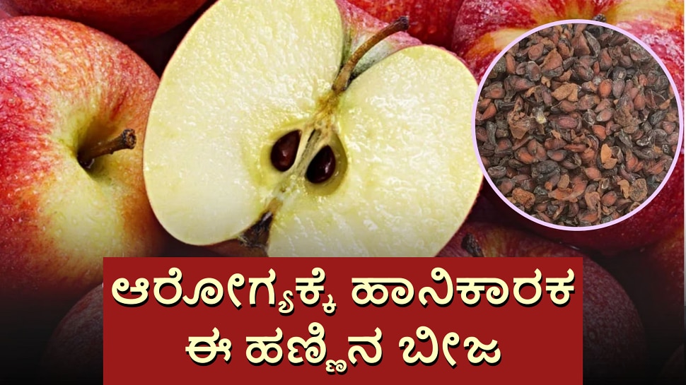 Never Eat These fruits Seeds | ಆರೋಗ್ಯಕ್ಕೆ ಹಾನಿಕಾರಕ ಈ ಹಣ್ಣಿನ ಬೀಜ Health ...