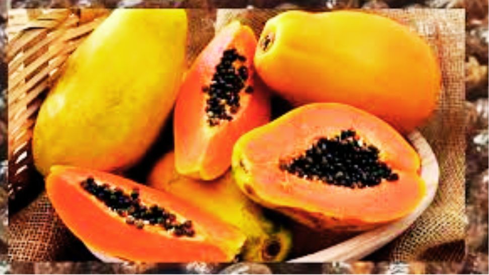 Amazing health benefits of consuming parangi fruit seeds | ಪರಂಗಿ ಹಣ್ಣಿನ ...