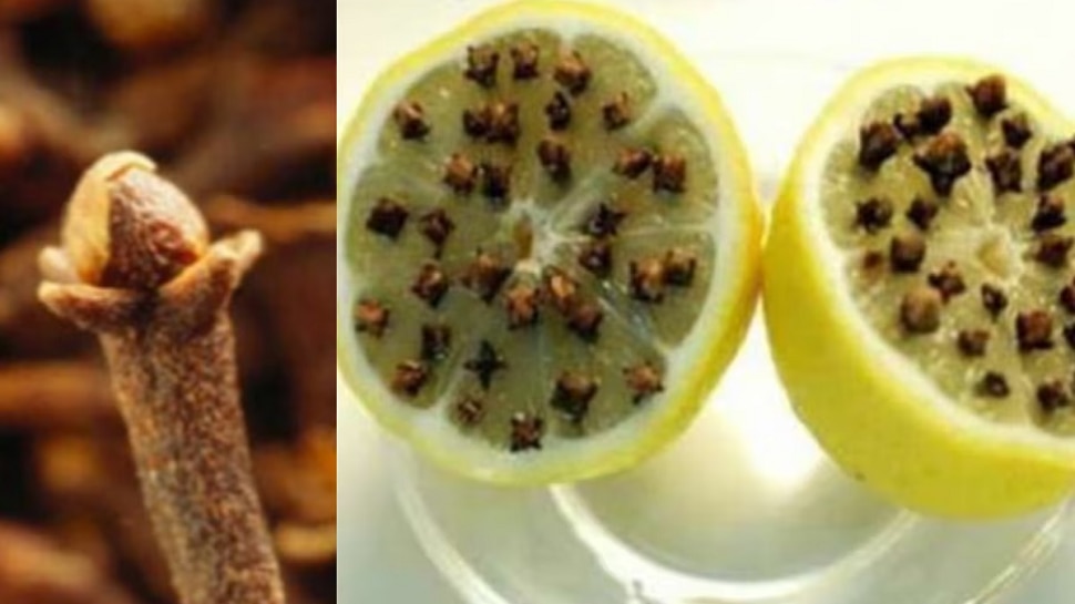 wanted to fill your treasury with money try this lemon clove remedy on ...