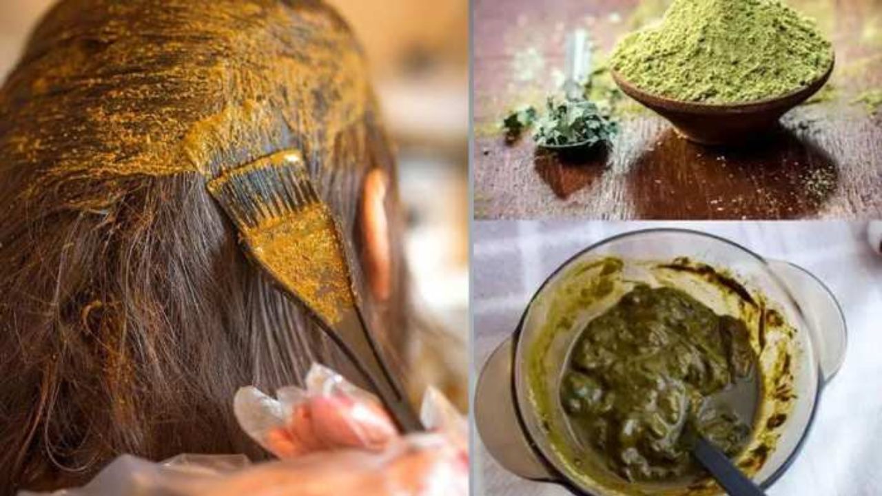 Don't make these mistakes when applying henna to your hair!! |ಕೂದಲಿಗೆ ...