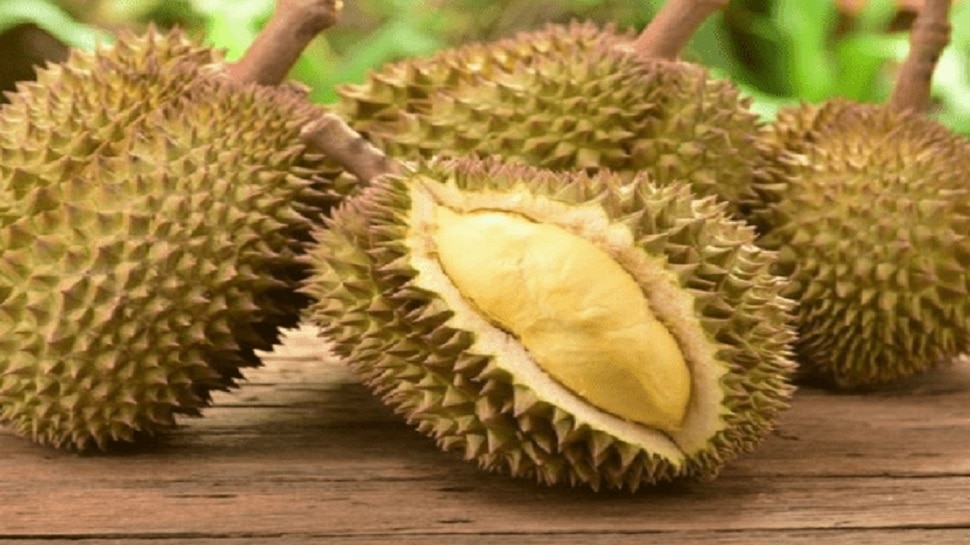 Eat Durian Fruit which looks like jackfruit: Belly fat melts in a ...
