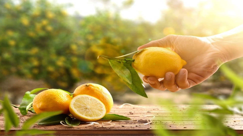 lemon benefits during weather change | ಹವಾಮಾನ ಬದಲಾಗುತ್ತಿದ್ದಂತೆಯೇ ...