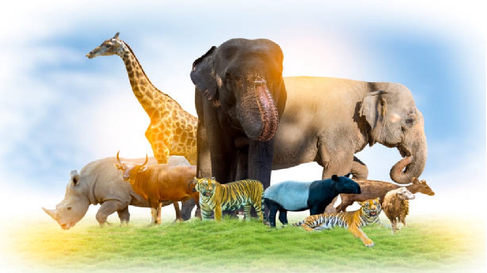 Trending Quiz: Which animal can digest iron...? |Daily GK Quiz: ಯಾವ ...