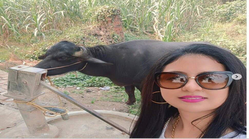 mohammad shamis wifes social medai post goes viral | ಶಮಿ ಪತ್ನಿಯ ಸೋಶಿಯಲ್ ...